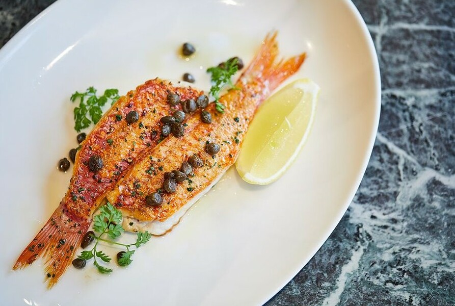 Bacash - What's On Melbourne