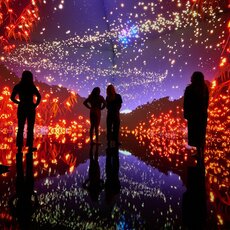 What's on today in Melbourne - What's On Melbourne